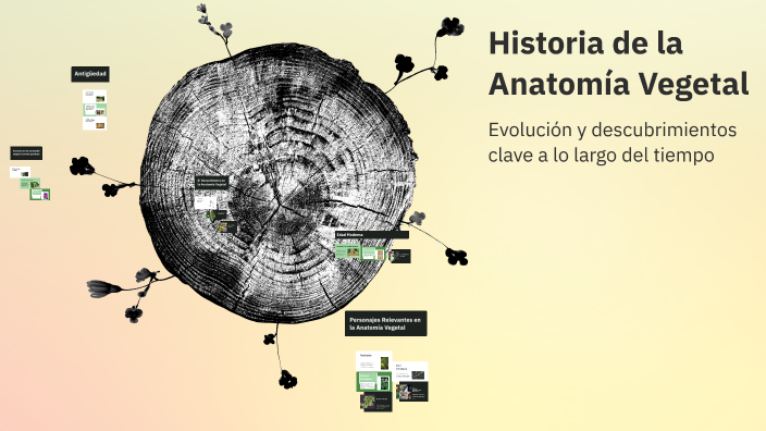 Historia de la Anatomía Vegetal by Josa Erazo on Prezi