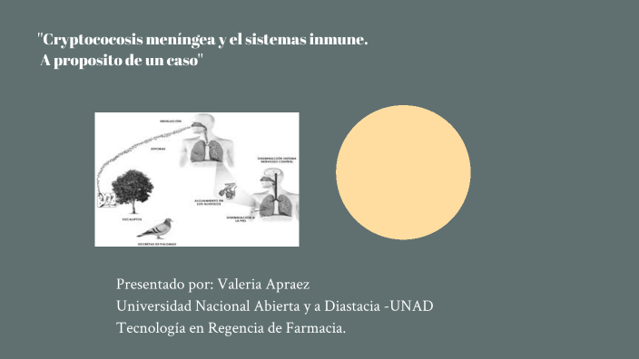 ''Cryptococosis meníngea y el sistemas inmune. A proposito de un caso ...