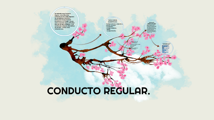 CONDUCTO REGULAR. by Astrid Gonzalez Correa on Prezi