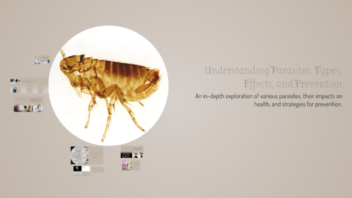 Understanding Parasites: Types, Effects, and Prevention by Lisette ...