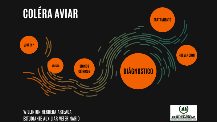 coléra aviar by on Prezi