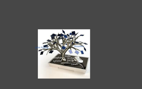 Speed Of Trust: Tree Diagram by Javae Johnson on Prezi