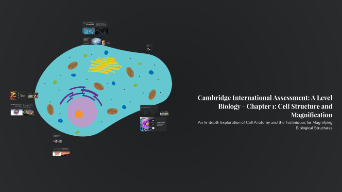 Cambridge International Assessment: A Level Biology - Chapter 1: Cell ...