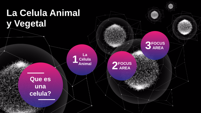 La Célula by José Miguel Tavico Gálvez on Prezi