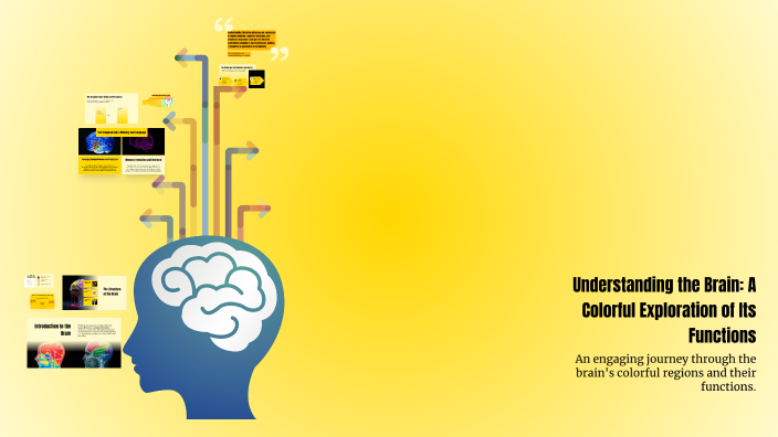 Understanding the Brain: A Colorful Exploration of Its Functions by ...