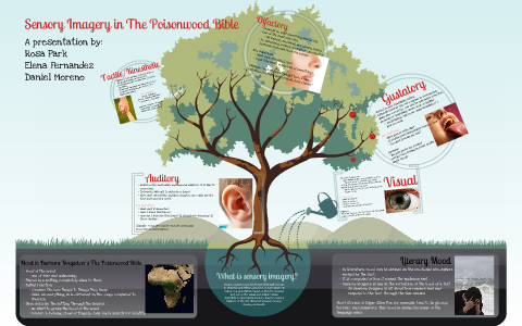 Sensory Imagery in the Poisonwood Bible by Rosa Park on Prezi