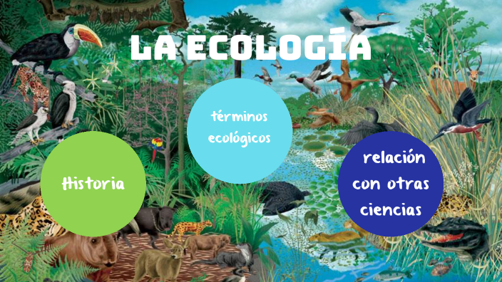 Ecología 1 by Luciana Fabiola Luque Guadalupe on Prezi