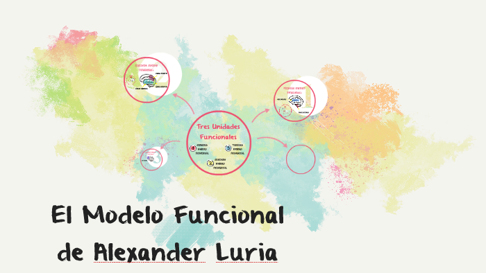 el modelo funcional de alexander luria by mishell illidge on Prezi
