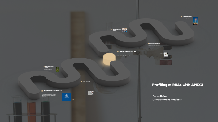 Profiling miRNAs with APEX2 Proximity Labelling by Reyhaneh Rezaei on Prezi
