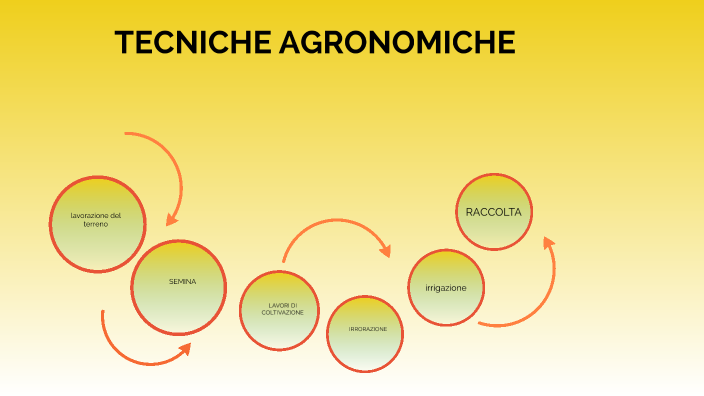 TECNICHE AGRONOMICHE by ARIANNA SCONOCCHINI on Prezi