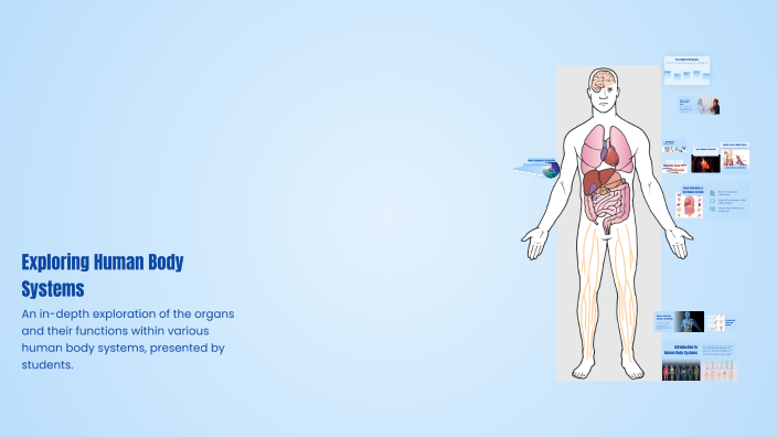 Exploring Human Body Systems by Clarence McShan on Prezi