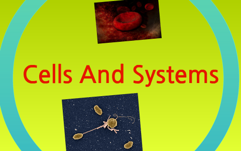 Cells And Systems by Tanner E on Prezi