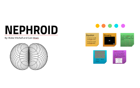 Nephroid by Blake Mitchell on Prezi