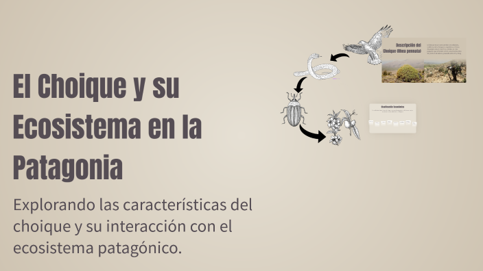 El Choique y su Ecosistema en la Patagonia by Nico grande on Prezi