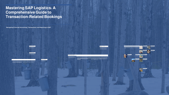 Mastering SAP Logistics: A Comprehensive Guide to Transaction-Related Bookings by Lukas Bruer on ...
