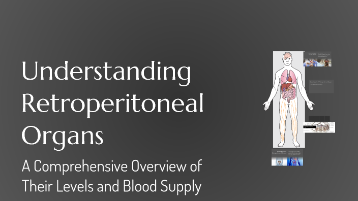 Understanding Retroperitoneal Organs by Mina Medhat on Prezi