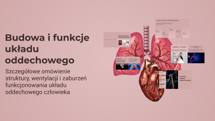 Budowa i funkcje układu oddechowego by Amelia Czółno on Prezi