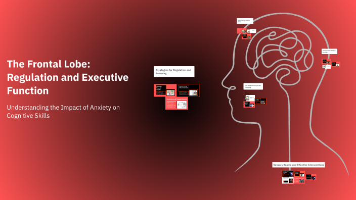 The Frontal Lobe: Regulation and Executive Function by Charlotte ...