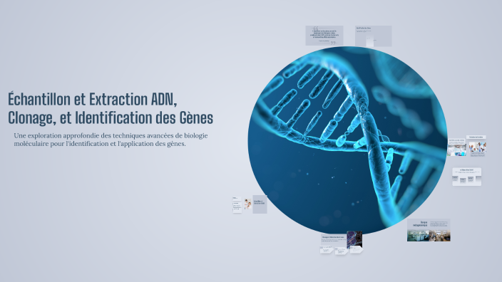 Échantillon et Extraction ADN, Clonage, et Identification des Gènes by ...
