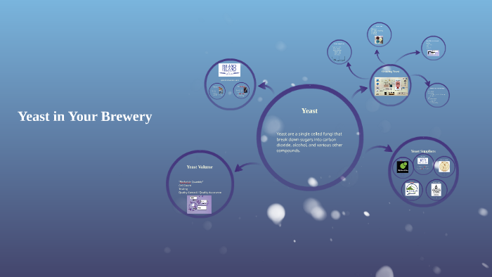 Yeast in Your Brewery by Matthew Peetz on Prezi
