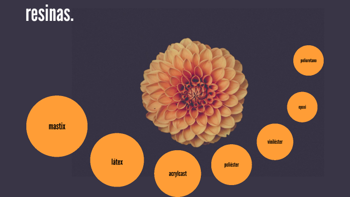 resinas by gio martin on Prezi