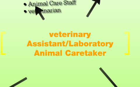Veterinary Assistant/Laboratory Animal Caretaker by Christina Hensley