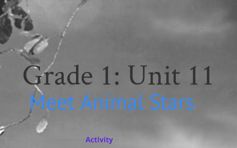 Grade 1: Unit 11 by Angelique McDonald on Prezi