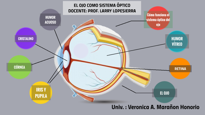 El ojo como sistema óptico by Veronica Marañon Honorio on Prezi