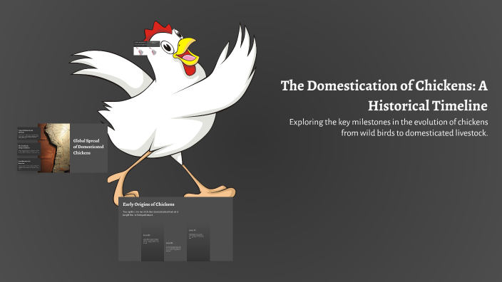 The Domestication of Chickens: A Historical Timeline by Isabel Lambert ...