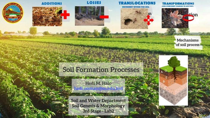 Soil Formation Processes by Hedi Mahmood Ossman on Prezi