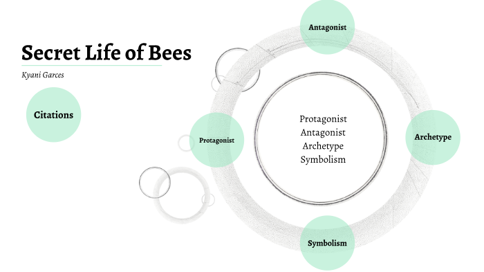Secret Life of Bees - protagonist/antagonist/archetype/symbolism by ...