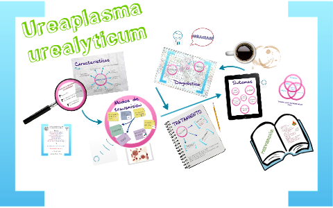 Ureaplasma Urealyticum by Jessica Bp on Prezi