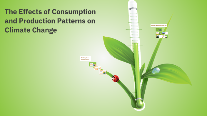 The Effects of Consumption and Production Patterns on Climate Change by ...