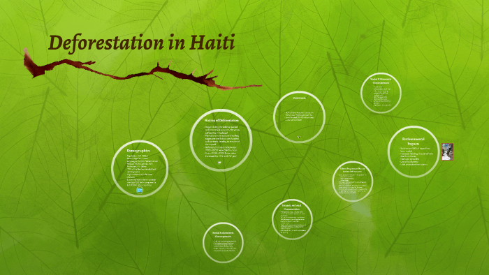 Deforestation in Haiti by on Prezi
