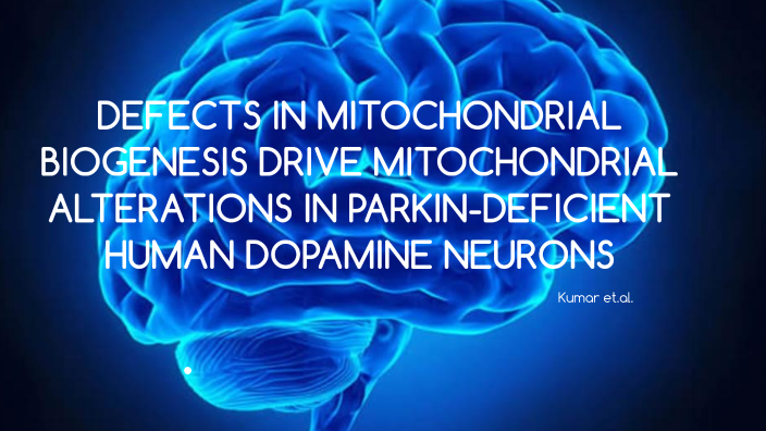 presentazione single gene by Laura Giupponi on Prezi