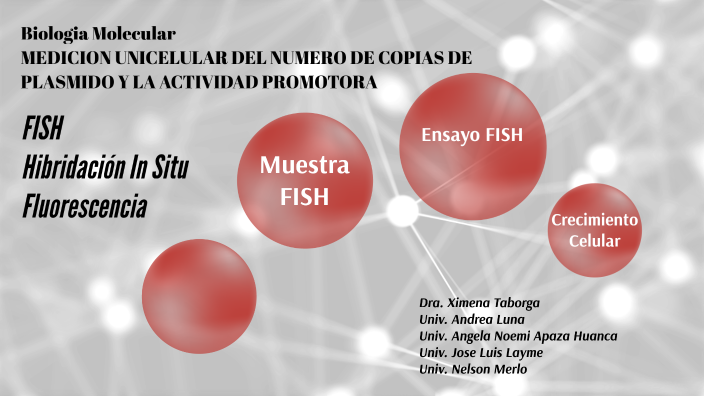 TECNICA DE FISH by Ana María Apaza on Prezi