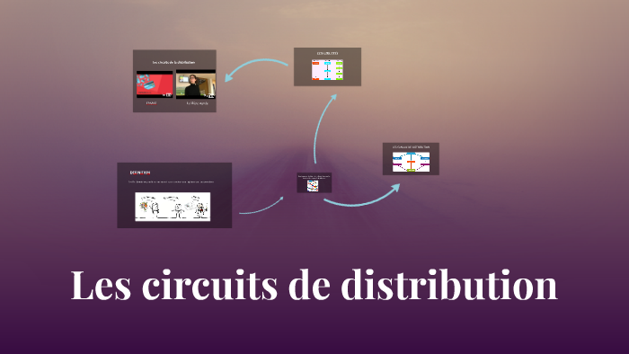 Les circuits de distribution by Sophie Garnier on Prezi