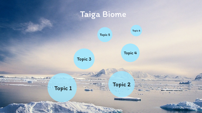 Taiga Biome by Tiana Henry on Prezi