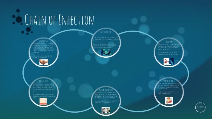 Chain of Infection by Sam Lane on Prezi