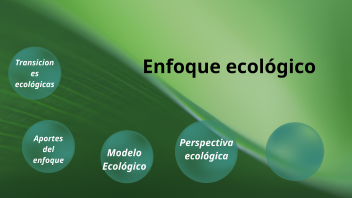 Enfoque ecológico by ARACELI ROZAS