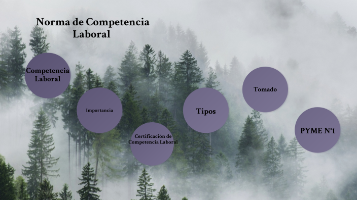 Norma De Competencia Laboral by luis david Pantoja Rivas on Prezi