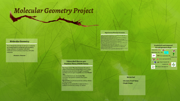 Molecular Geometry Project by Victoria Garcia