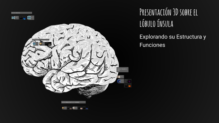 Presentación 3D sobre el lóbulo ínsula by lissette barraza palacios on ...