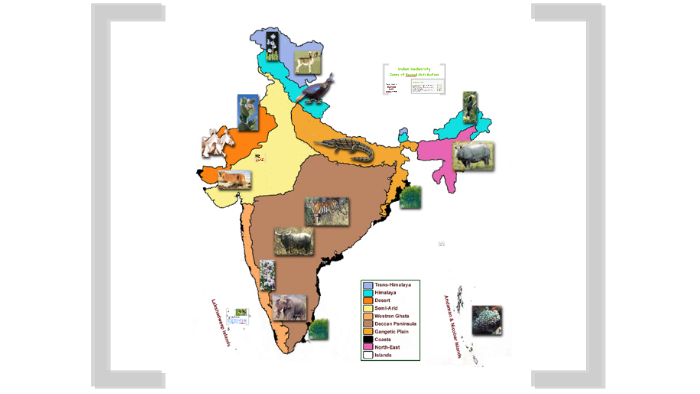 Indian biodiversity Zones of faunal distribution by ishani mehta on Prezi