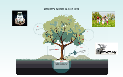 Brooklyn moose family tree by kama vukson on Prezi