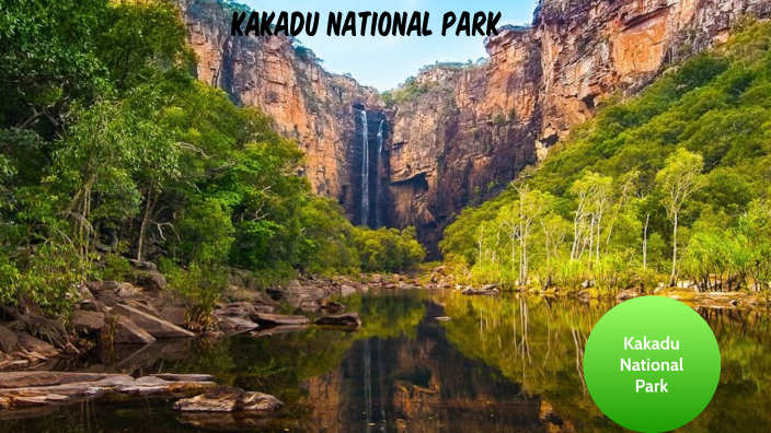 KAKADU by Reva Mehta on Prezi