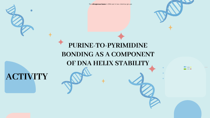PURINE-TO-PYRIMIDINE BONDING AS A COMPONENT OF DNA HELIX STABILITY by S ...