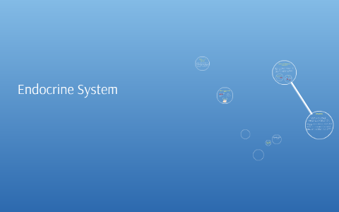Endocrine System by Morgan Boutwell on Prezi