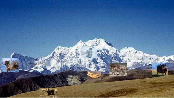Tibetan Mountains Presentation by Tim Heffner on Prezi