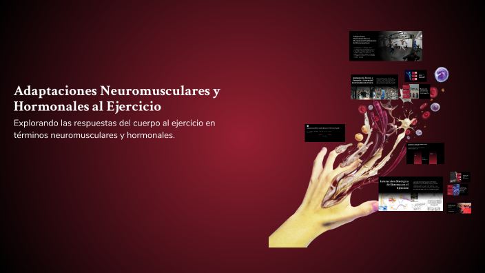 Adaptaciones Neuromusculares y Hormonales al Ejercicio by ERICK MOYA on ...